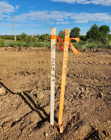 The Ultimate Guide to Survey Stakes: Poplar vs. Pine